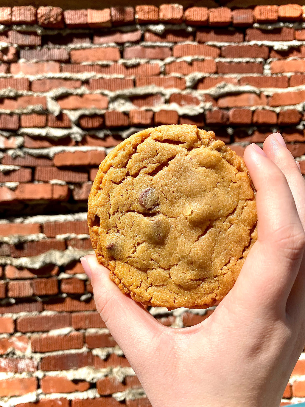 Peanut Butter Milk Chocolate Chip Cookies – Hodge Podge Cookies